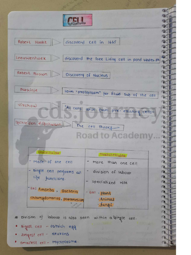 Biology Class Notes Cds | PDF