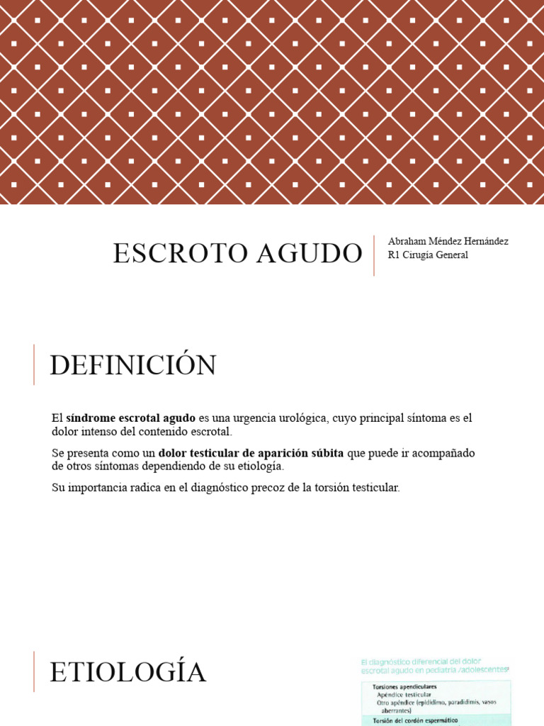 Escroto Agudo | PDF | Testículo | Medicina
