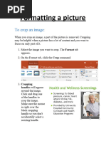 Picture Format Tab MS Word 365 | PDF