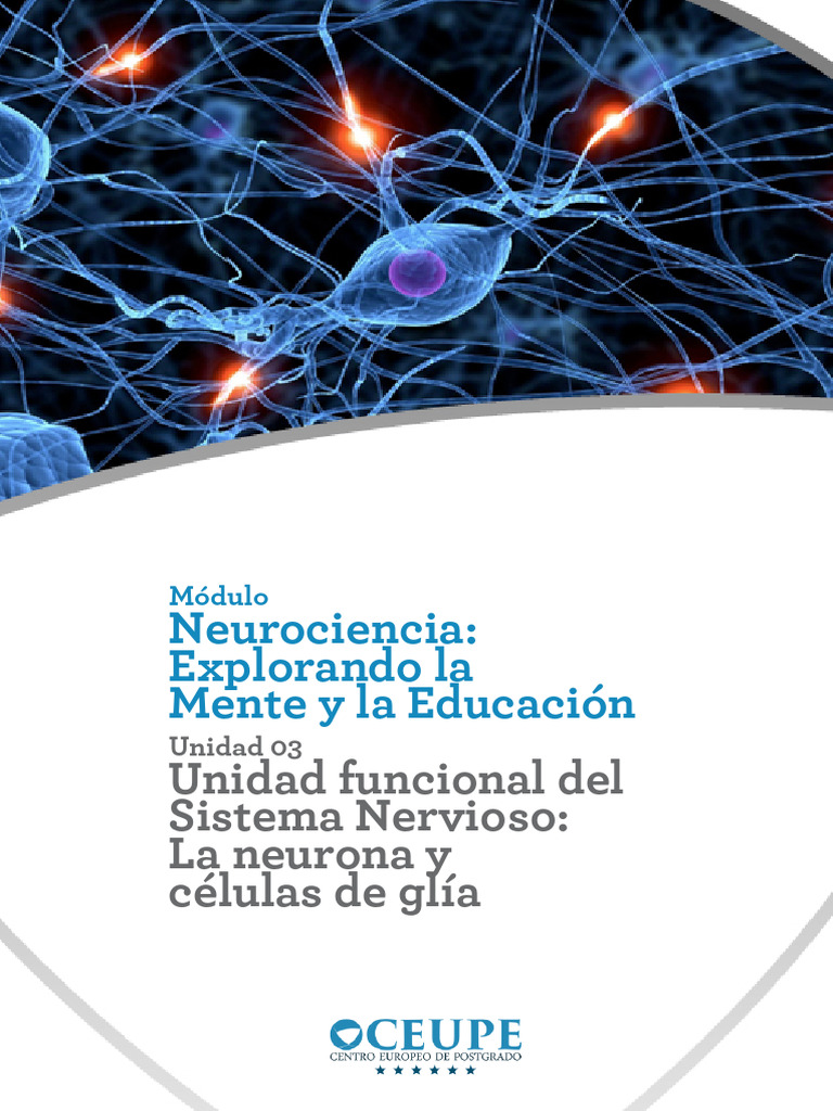 A1 - Mod1 - Unid3 - Unidad Funcional Del Sistema Nervioso. La Neurona y Células de Glía | PDF ...