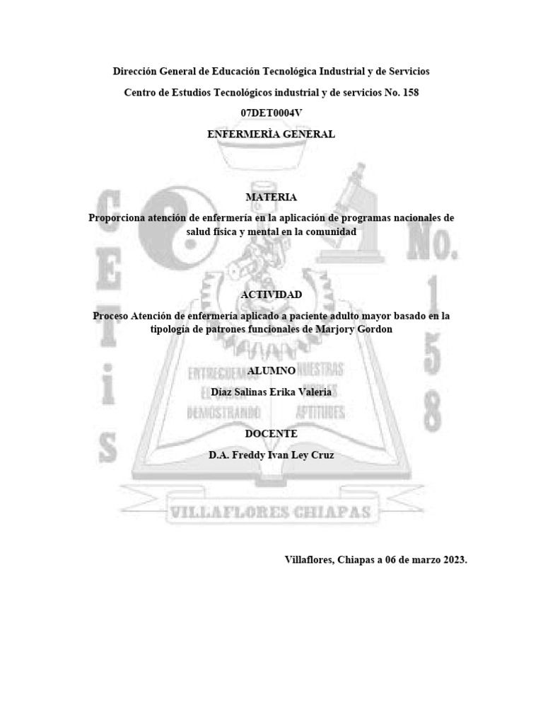 Pae Pdf Enfermería Obesidad