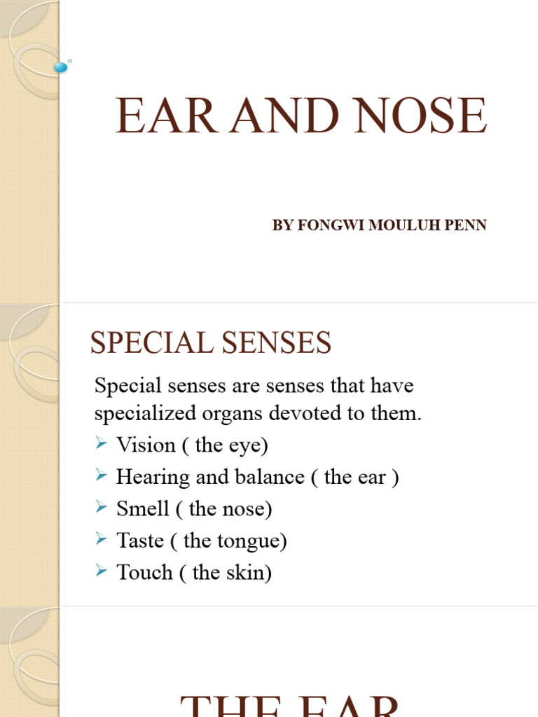 Special Senses (Ear and Nose) | PDF | Ear | Hearing Special Senses (Ear and Nose) | PDF | Ear | Hearing