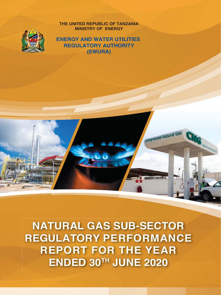 Tanzania Gas Sector Report 2020 | PDF | Natural Gas | Tanzania