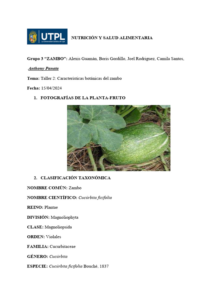 Características del Zambo y su Nutrición | PDF | Nutrición | Dieta y ...