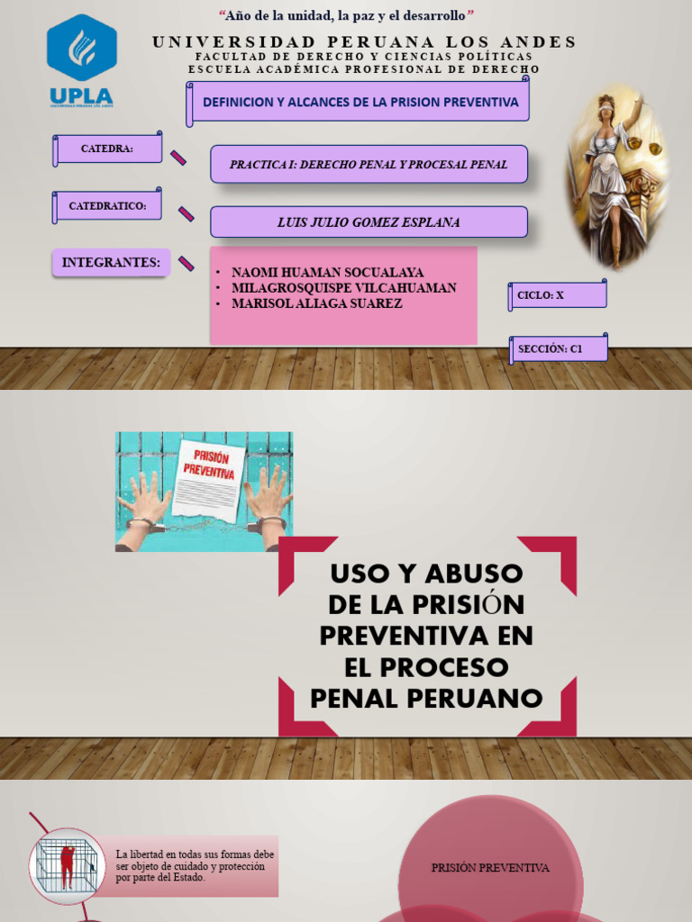 La Prision Preventiva 1 Descargar Gratis Pdf Mandato Derecho Penal