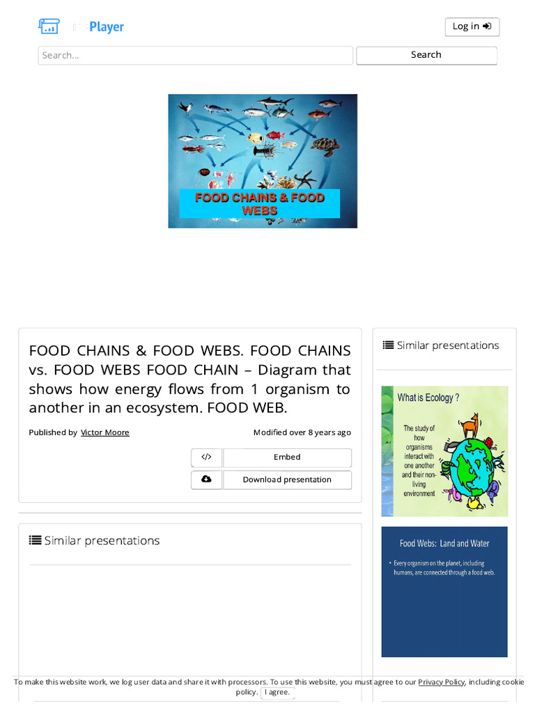 FOODCHAINS&FOODWEBS FOODCHAINSvs FOODWEBSFOODCHAIN ...