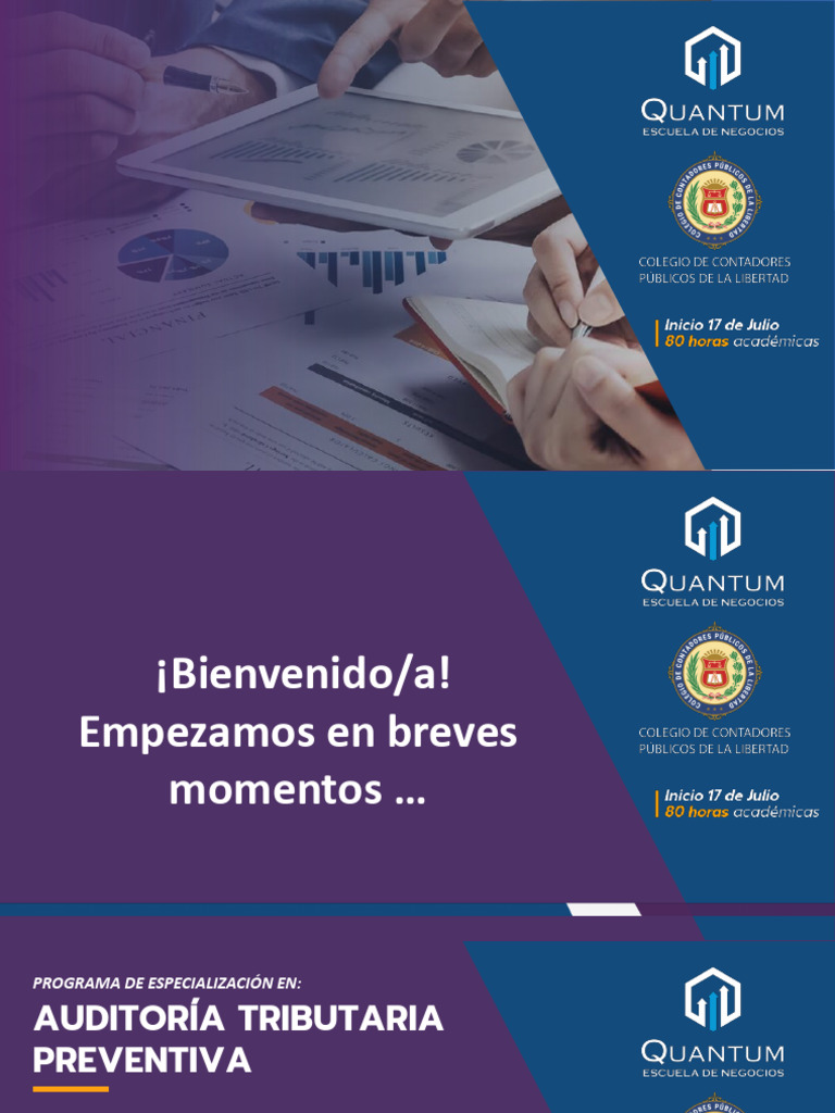 AUDITORIA TRIBUTARIA P BLICA Procedimiento de Fiscalizacion 24.07.2021 Luis Castro | PDF ...