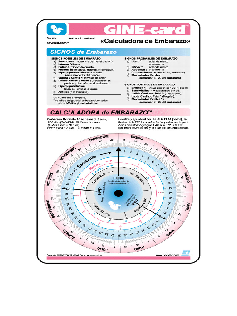 Gine Card | PDF