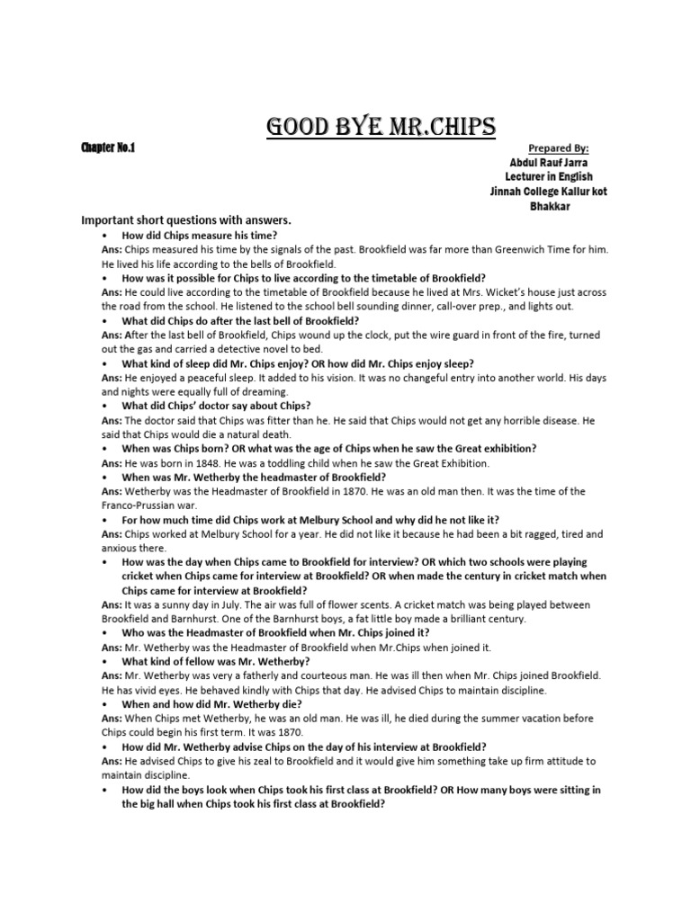 MR - Chips Complete Notes | PDF