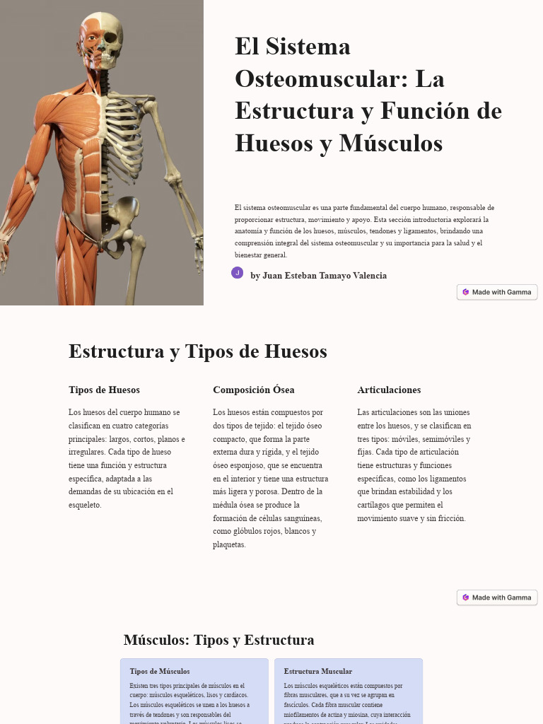 El Sistema Osteomuscular La Estructura y Funcion de Huesos y Musculos | Descargar gratis PDF ...