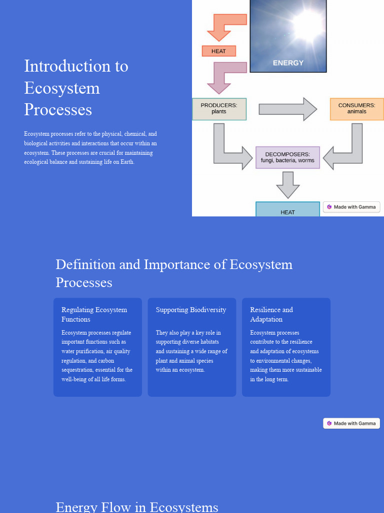 Introduction To Ecosystem Processes | PDF | Ecosystem | Ecology