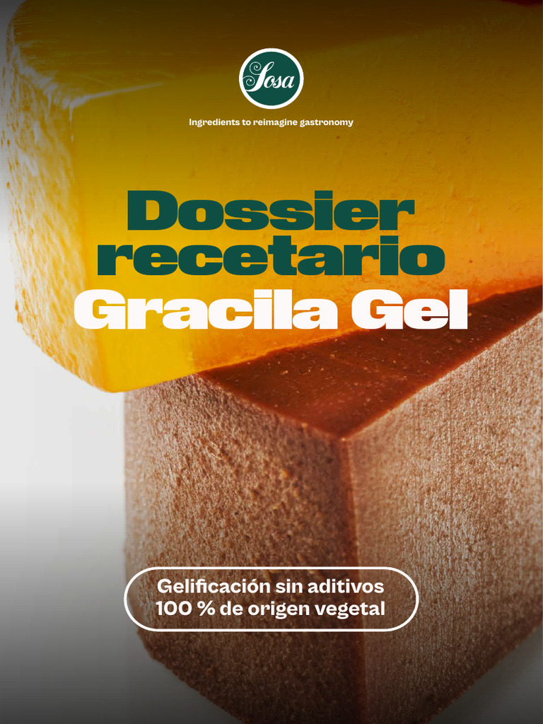 Recetario Gracila Gel Sosa Ingredients | PDF | Caramelo | Chocolate