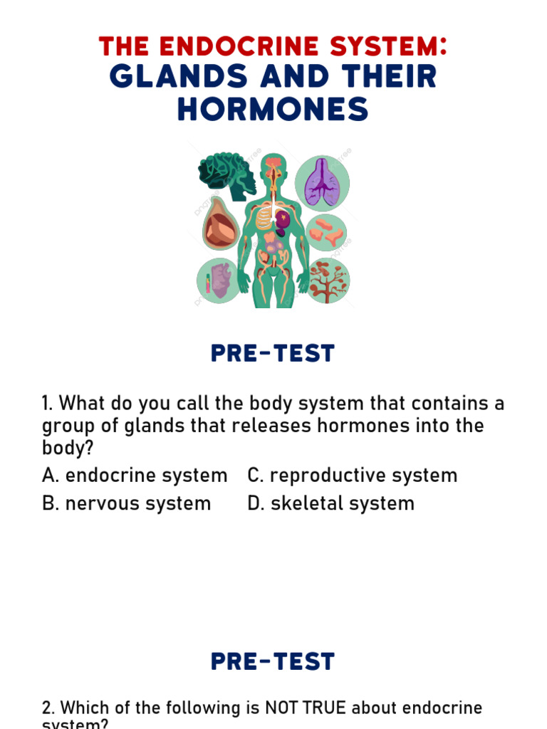 The Endocrine System | PDF | Endocrine System | Luteinizing Hormone