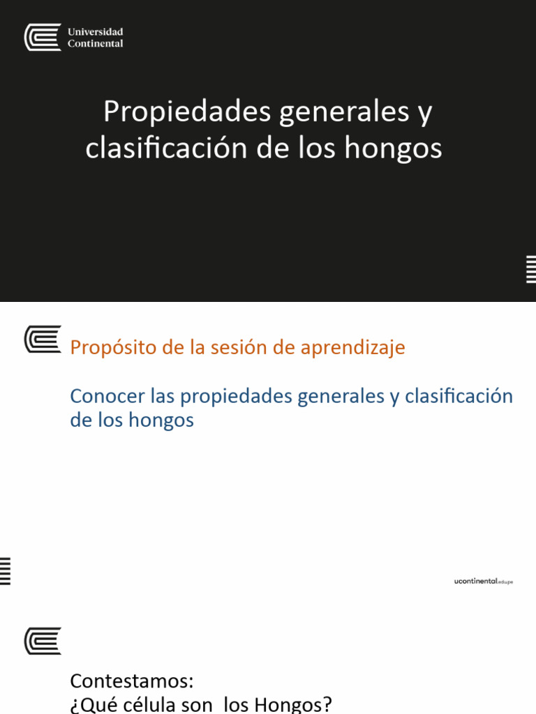 Generalidades de Los Hongos | PDF | Hongo | Biología Celular)