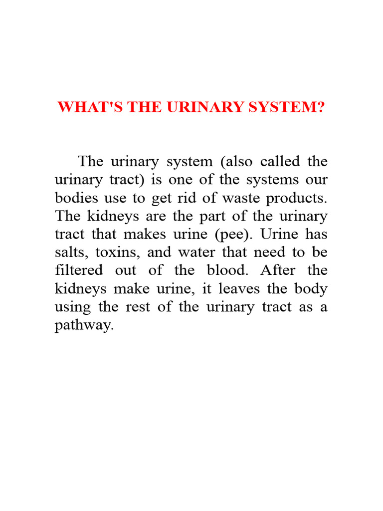 Science Fair | PDF | Urinary System | Urination