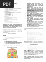 Signo del Psoas y Apendicitis | PDF