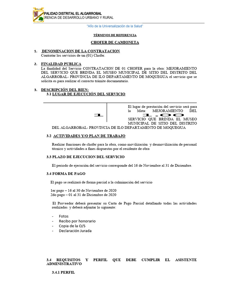 TDR Chofer Final Servicio | PDF