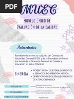 Evaluación de Calidad en Salud: MUEC | PDF | Cuidado de la salud ...