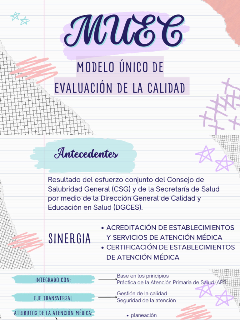 Modelo Único de Evaluación de Calidad | PDF