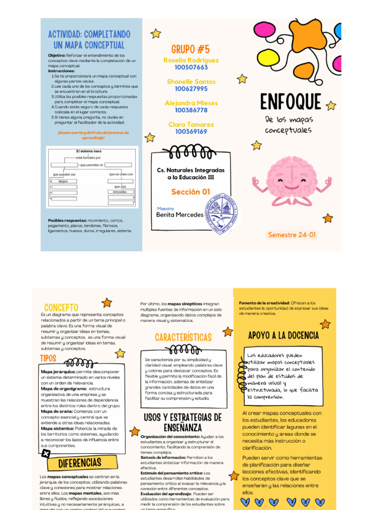 Brochure Enfoque de Los Mapas Conceptual | PDF