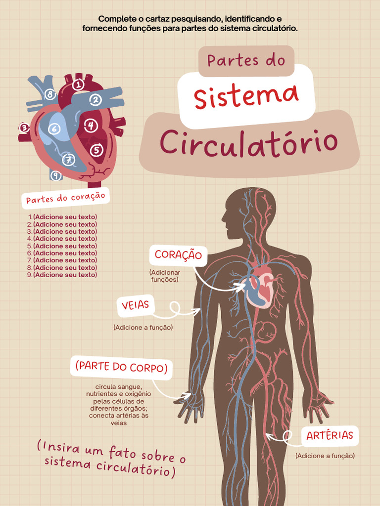 Cartaz de Ciências Partes Do Sistema Circulatório Humano Estilo Gráfico ...