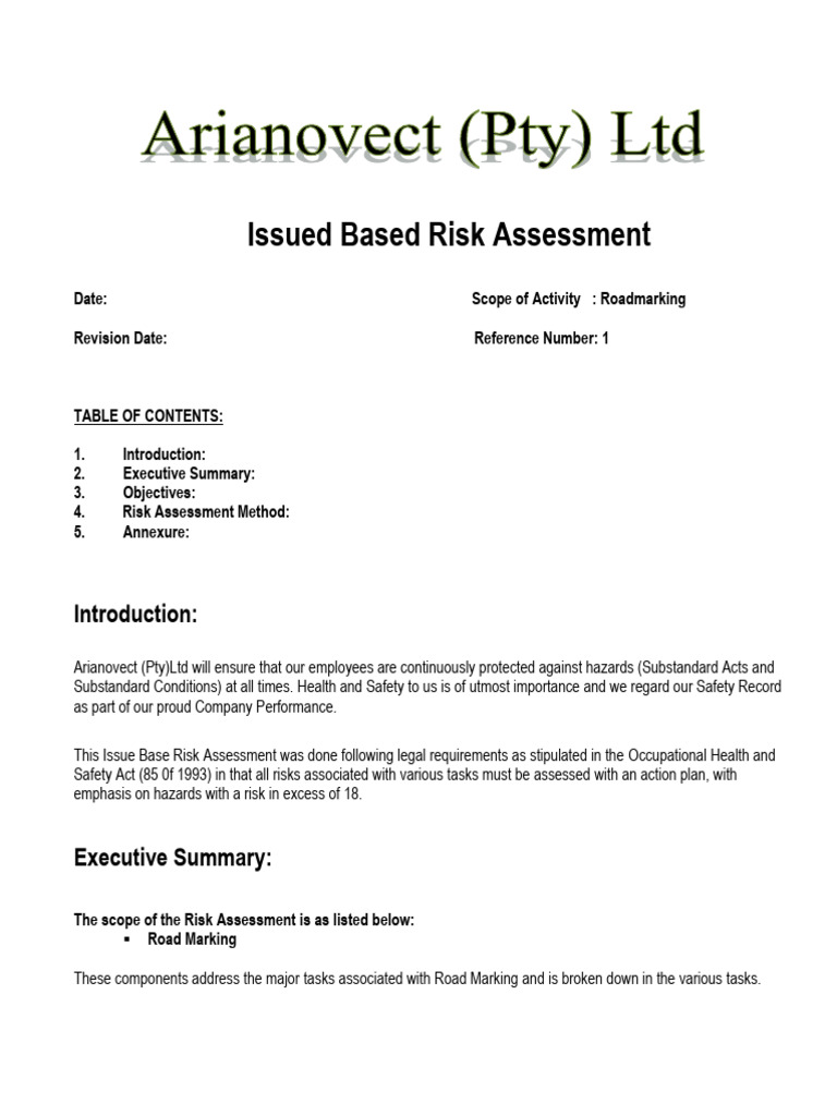 Issue Based Risk Assessment For Roadmarking | PDF | Risk Assessment | Risk