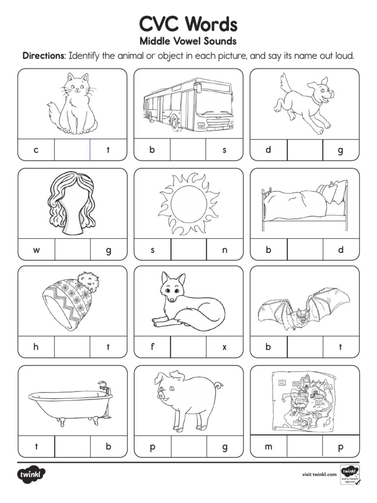 Black and White CVC Words Middle Vowel Sounds Activity 2 | PDF