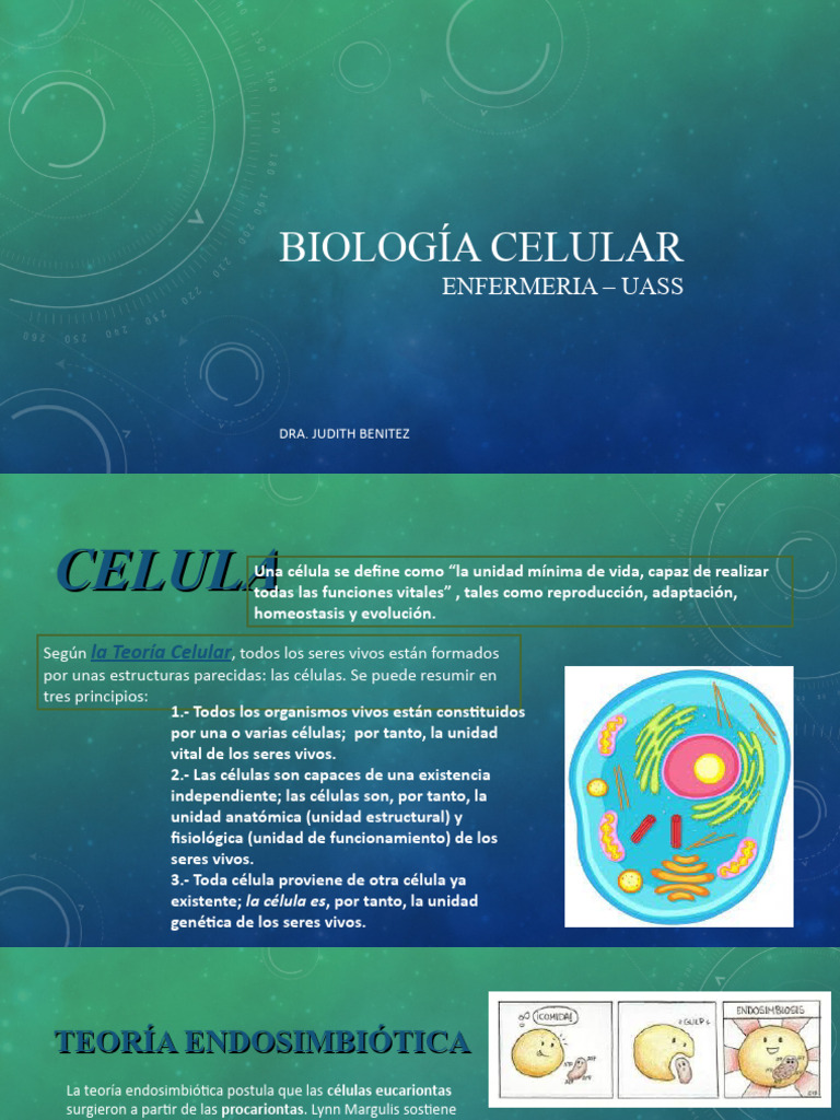 Biología Celular | PDF | Lipoproteína | Biología Celular)
