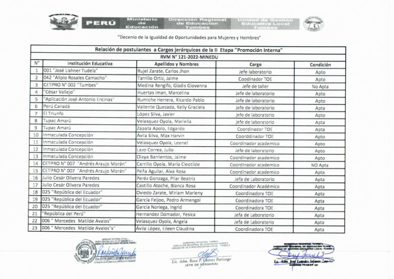 PV CMR Jerarquicos 11102022 | PDF