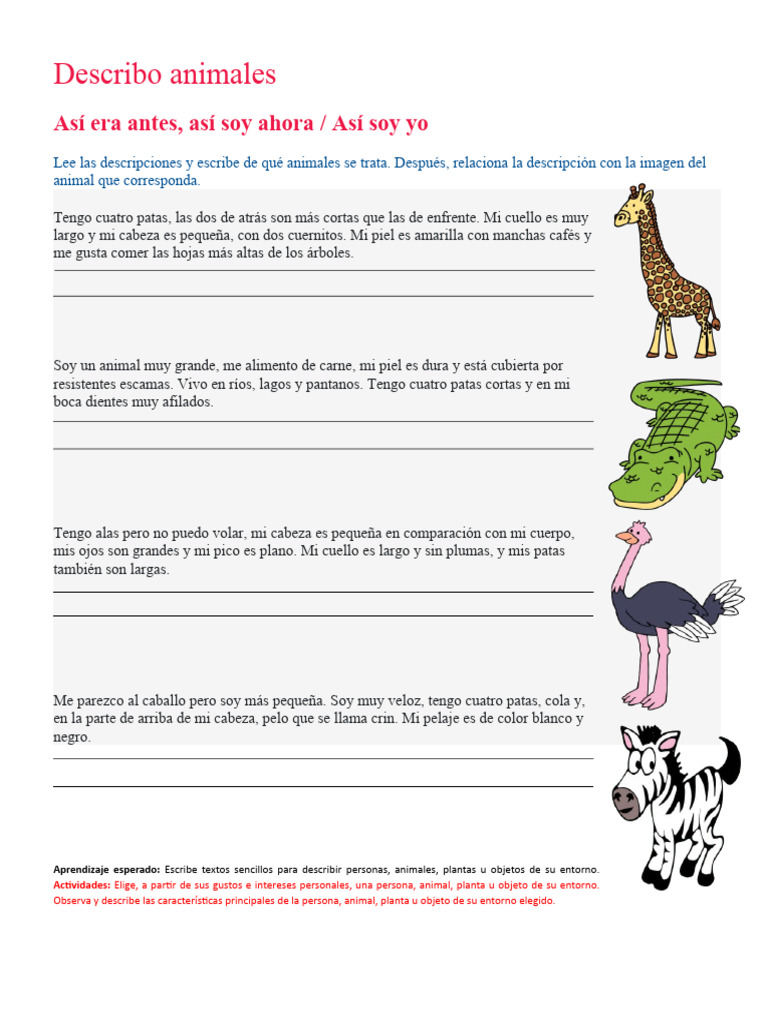 Descripciones de Animales para Niños | PDF