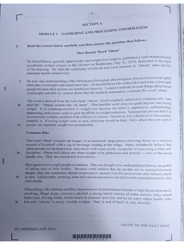 Cape Communication Studies P2 2024 | PDF