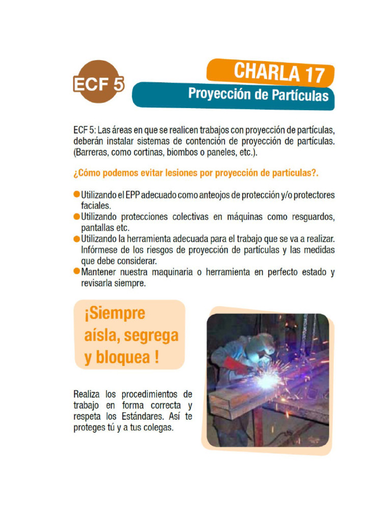 Proyeccion de Particulas | PDF