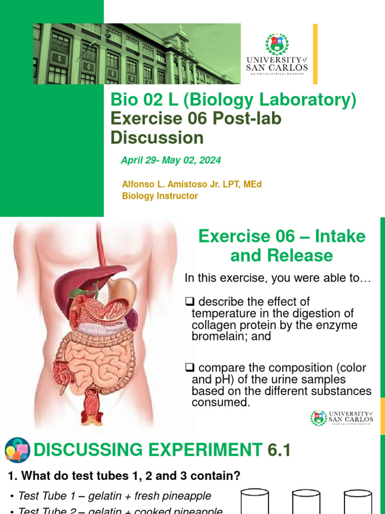 Exercise 2.6 Post Lab Discussion | PDF | Urine | Digestion