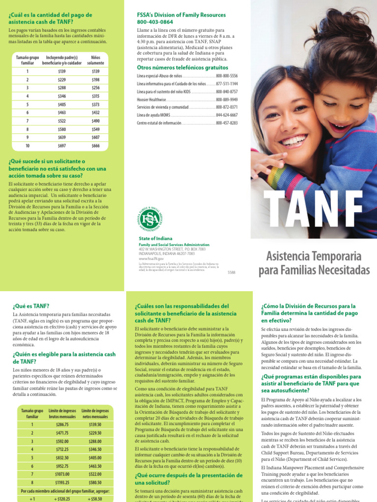 TANF Brochure Spanish | PDF