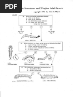 Insect Order Dichotomous Key | PDF | Insects | Arthropods