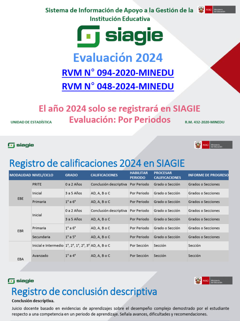Evaluación 2024 | Descargar gratis PDF | Evaluación | Educación primaria