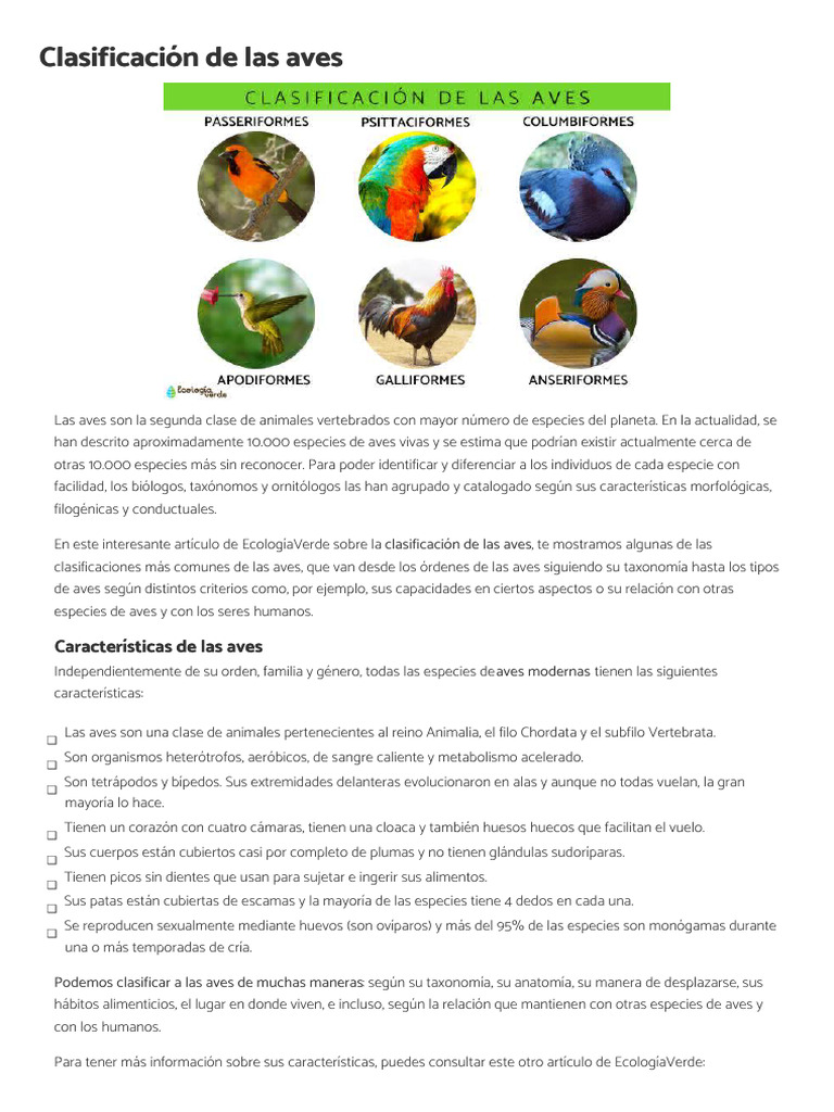 Clasificación de Las Aves - Resumen | PDF | Aves | Búho