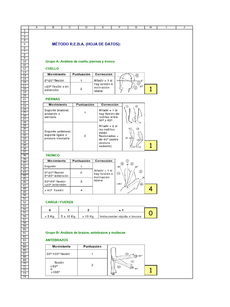 67107-Excel Método Reba | PDF