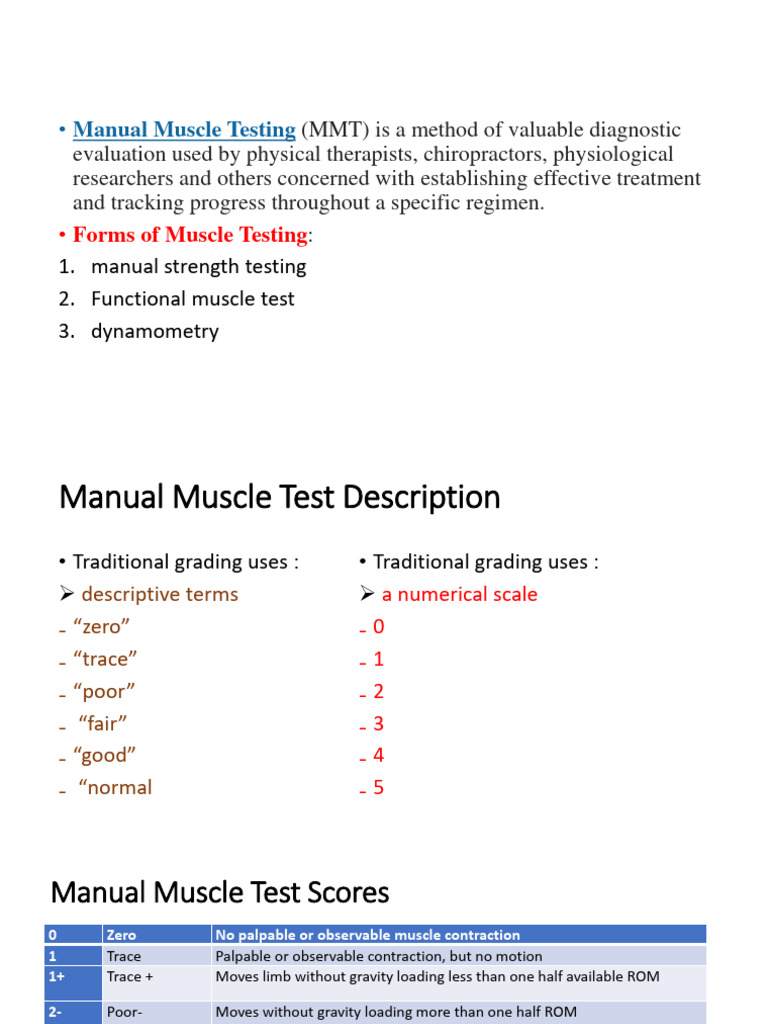 Lect. 3 (Test 2) - 2023 | PDF | Human Leg | Hip