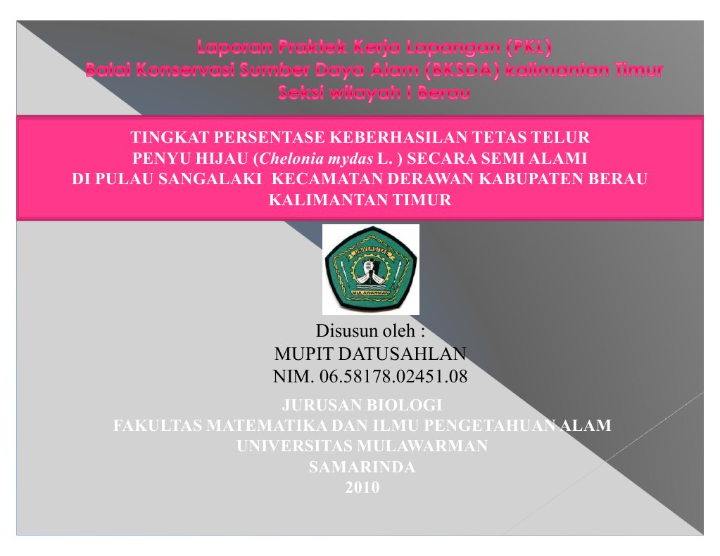 Presentation PKL MUPIT | PDF