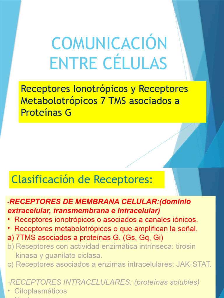 Comunicación Intercelular-Clase 2 | PDF | Receptor (Bioquímica) | Canal ...