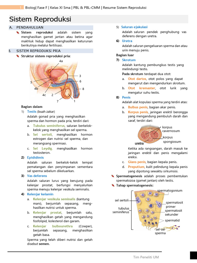 Struktur dan Fungsi Sistem Reproduksi | PDF