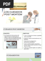 14 Guia de Procedimiento Cuidados Post Mortem | PDF | Medicina | Especialidades Medicas