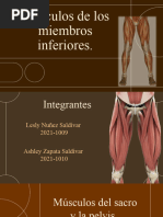 Anatomía de los músculos del muslo | PDF | Rodilla | Anatomía del ...