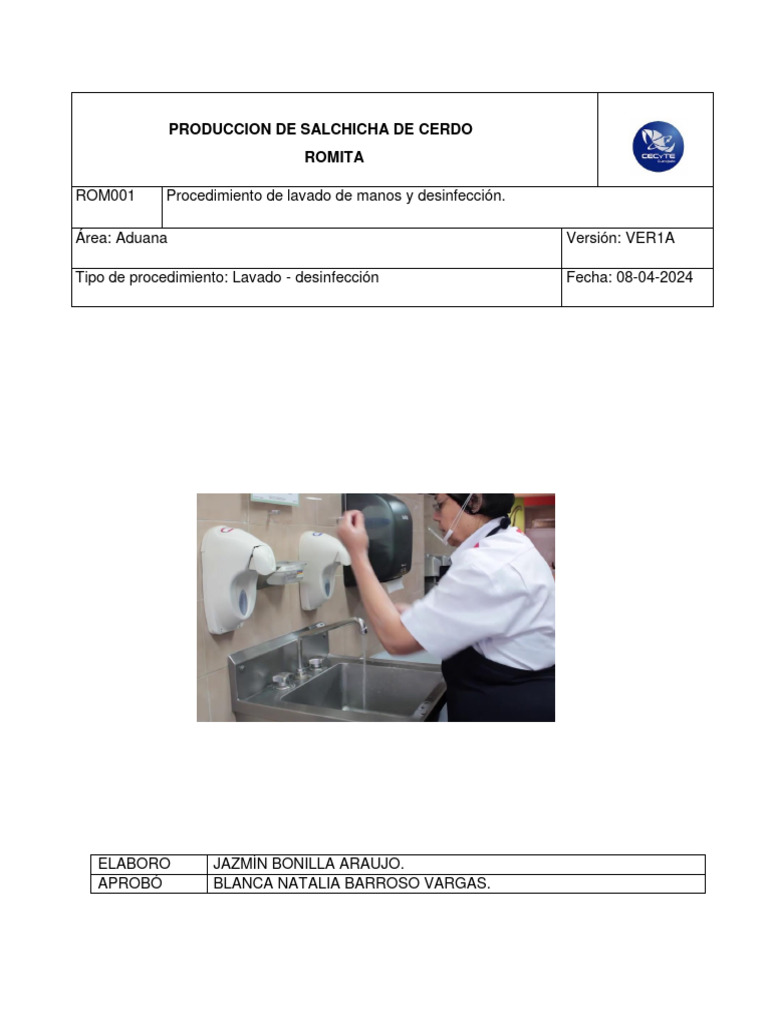 Equipo 1 Aduana | PDF | Alimentos | Lavado de manos
