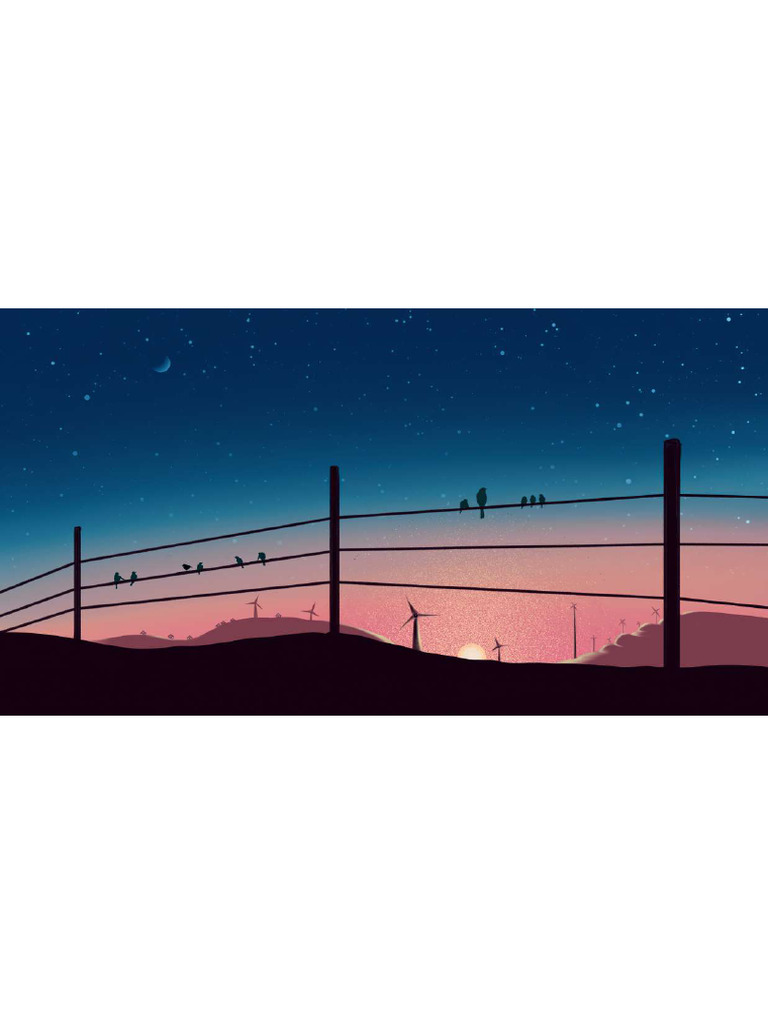 Birds Sitting On Powerline 4k WZ | PDF