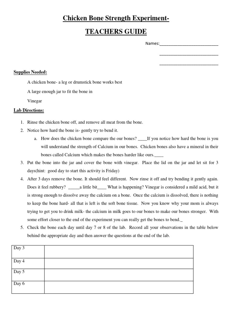 Chicken Bone Strength Experiment Guide | PDF | Osteoporosis | Bone