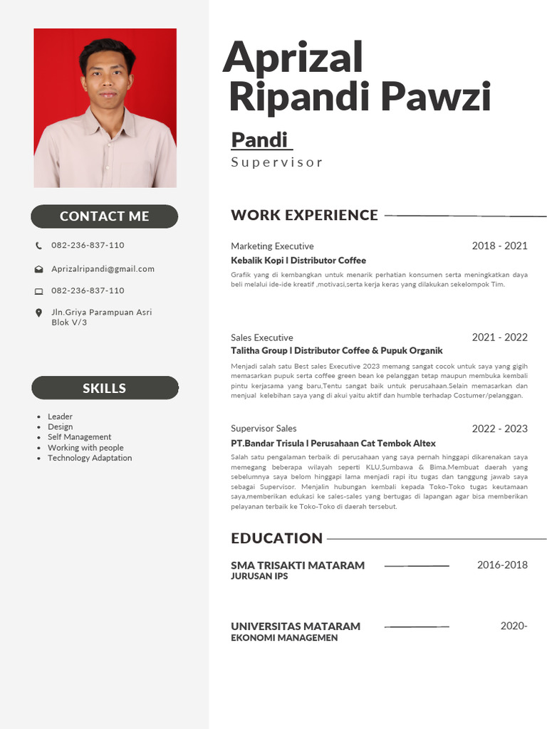 Professional CV Resume | PDF