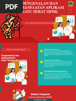 Manual Guide SATUSEHAT SDMK | PDF