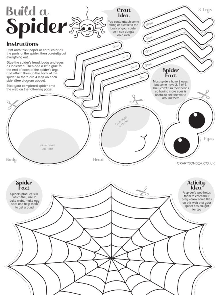 Spider Craft Activity Guide | PDF | Spider | Spider Web